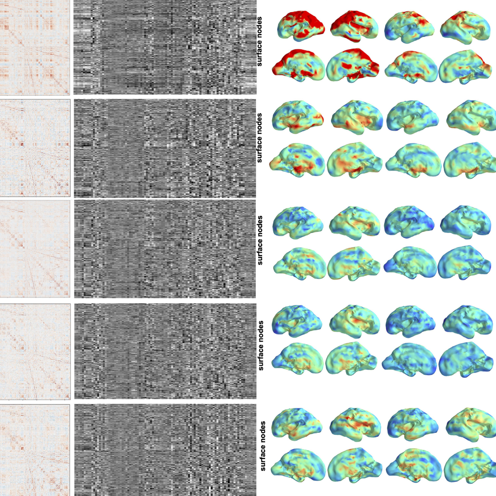 CIR | Fetal development | MedUni Wien
